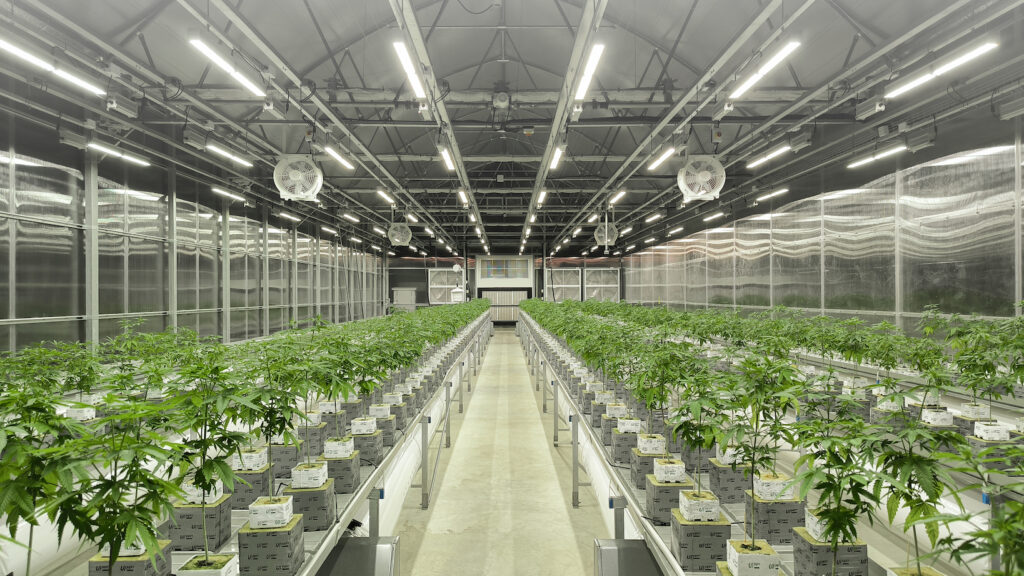 Controlled Environment Mixed-Light Cannabis Cultivation Facility